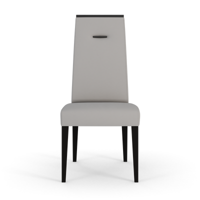 Dining Chairs | Modern Dining Chairs | Casa Furniture
