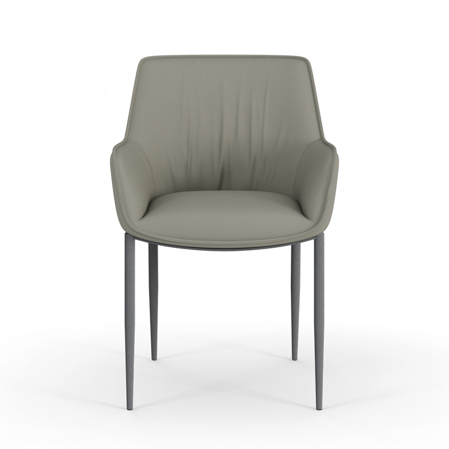 Dining Chairs | Modern Dining Chairs | Casa Furniture