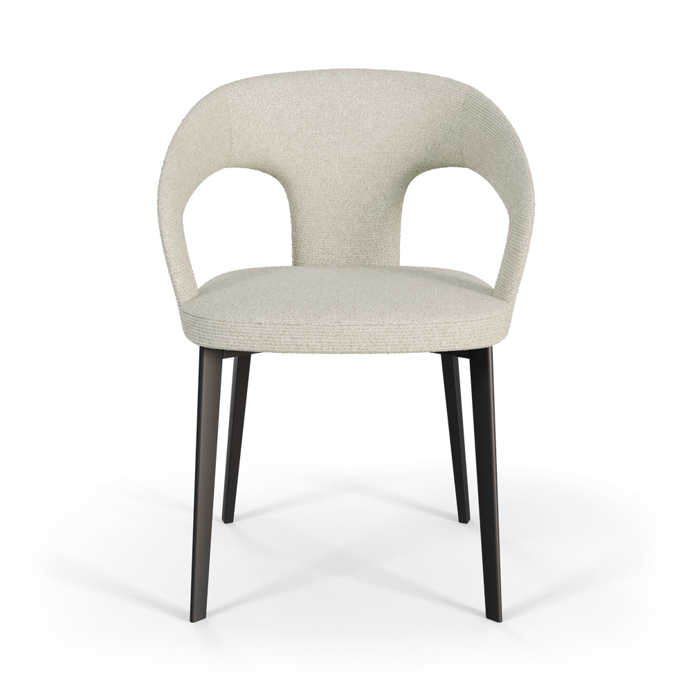 Dining Chairs | Modern Dining Chairs | Casa Furniture